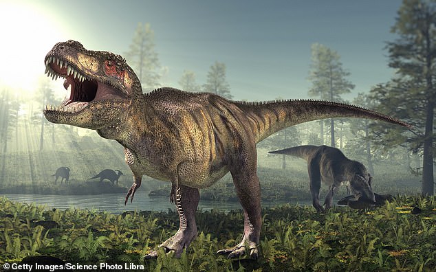 Why did T rex have such small arms? Scientists finally solve the mystery