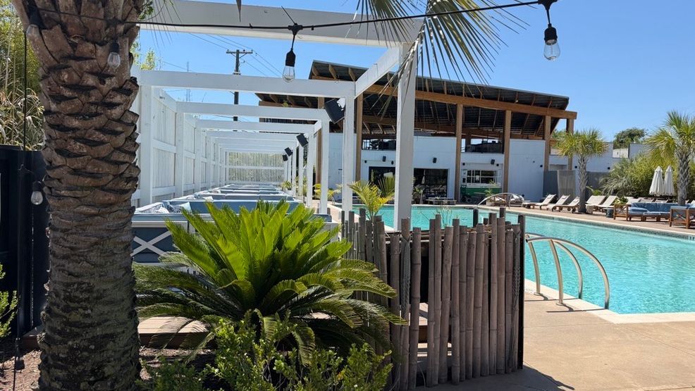 Palma Day Club set to bring a new energy to Charleston’s house music ...