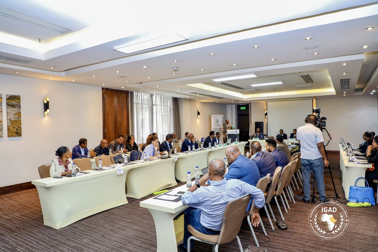 Ethiopia establishing multi-agency platform to counter hate speech ...