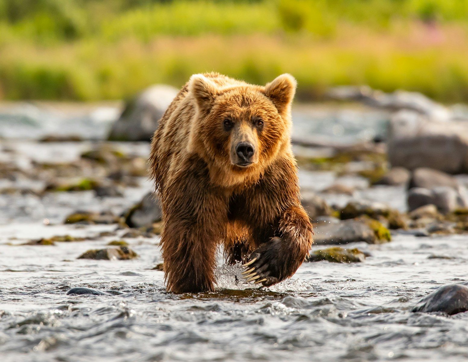 Alaska’s breathtaking natural wonders and wildlife you have to see