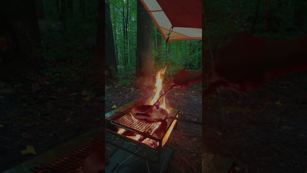I made campfire omelettes for my dog 🐶