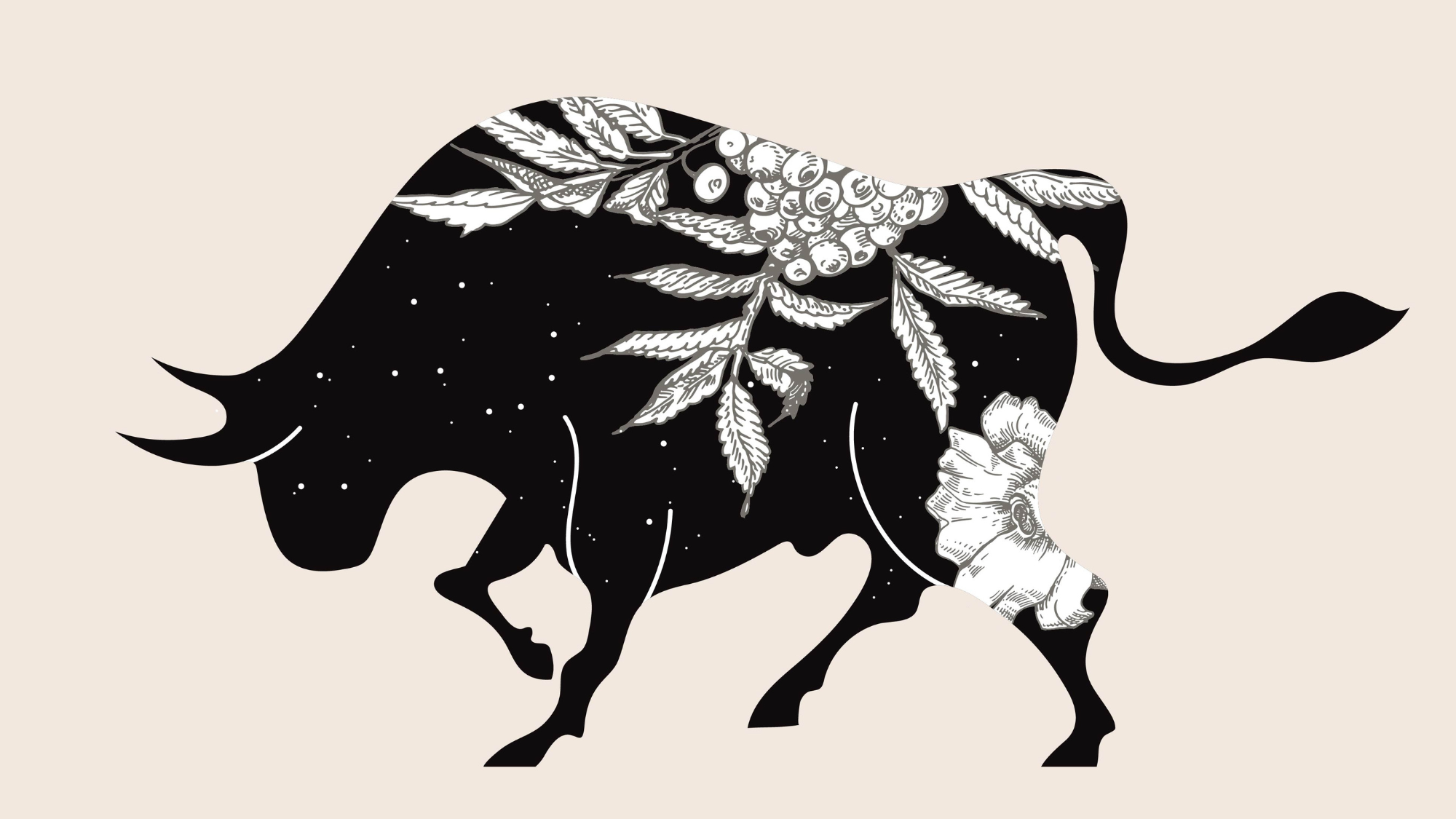 Mars in Taurus is here: What to expect from this transit and the signs ...