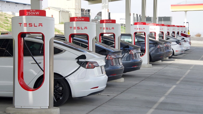 5 Tesla features that make these EVs stand out from the crowd