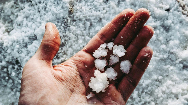 Why salt was once worth fighting over