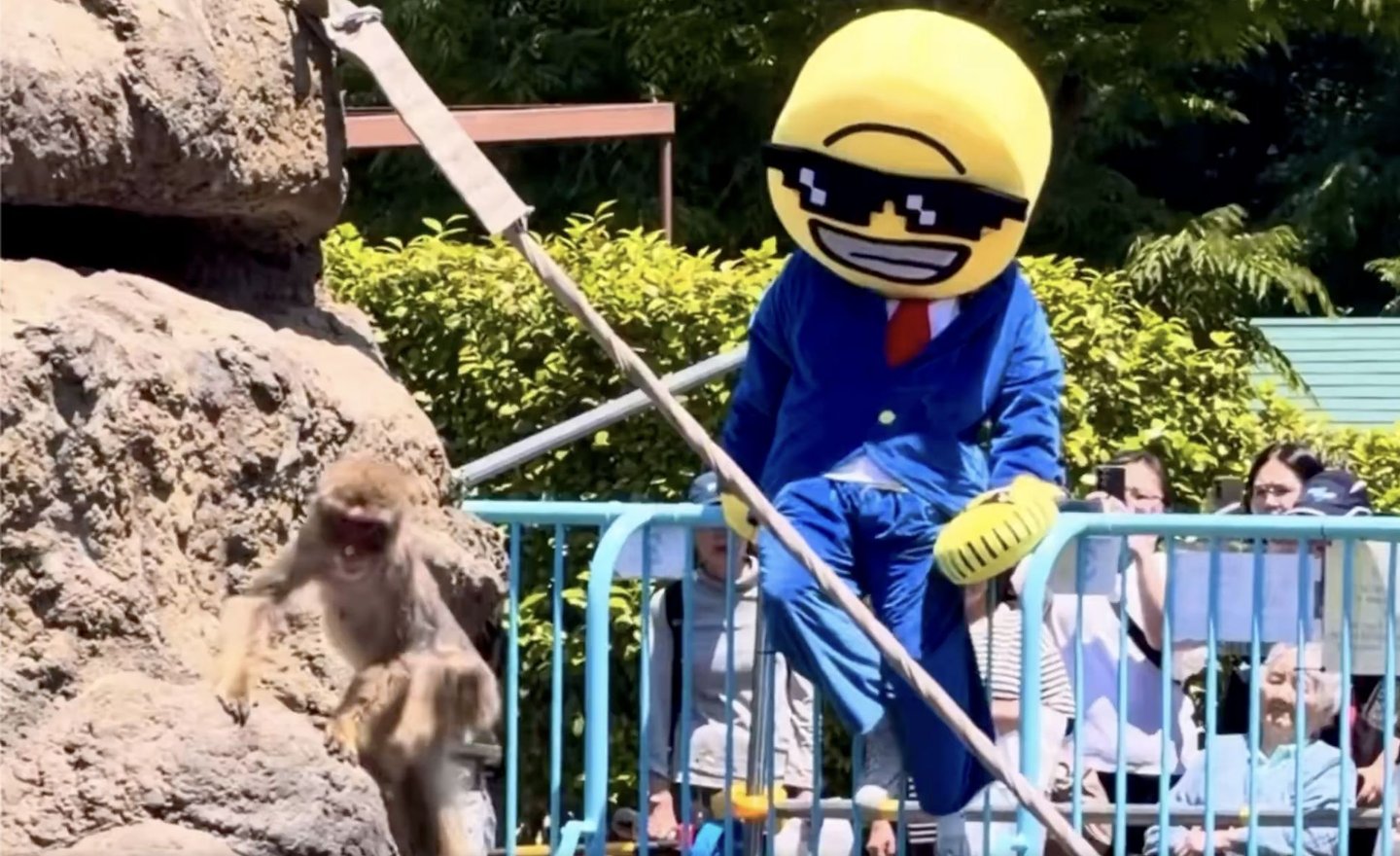 Dois detidos após terem entrado no recinto do macaco Punch
