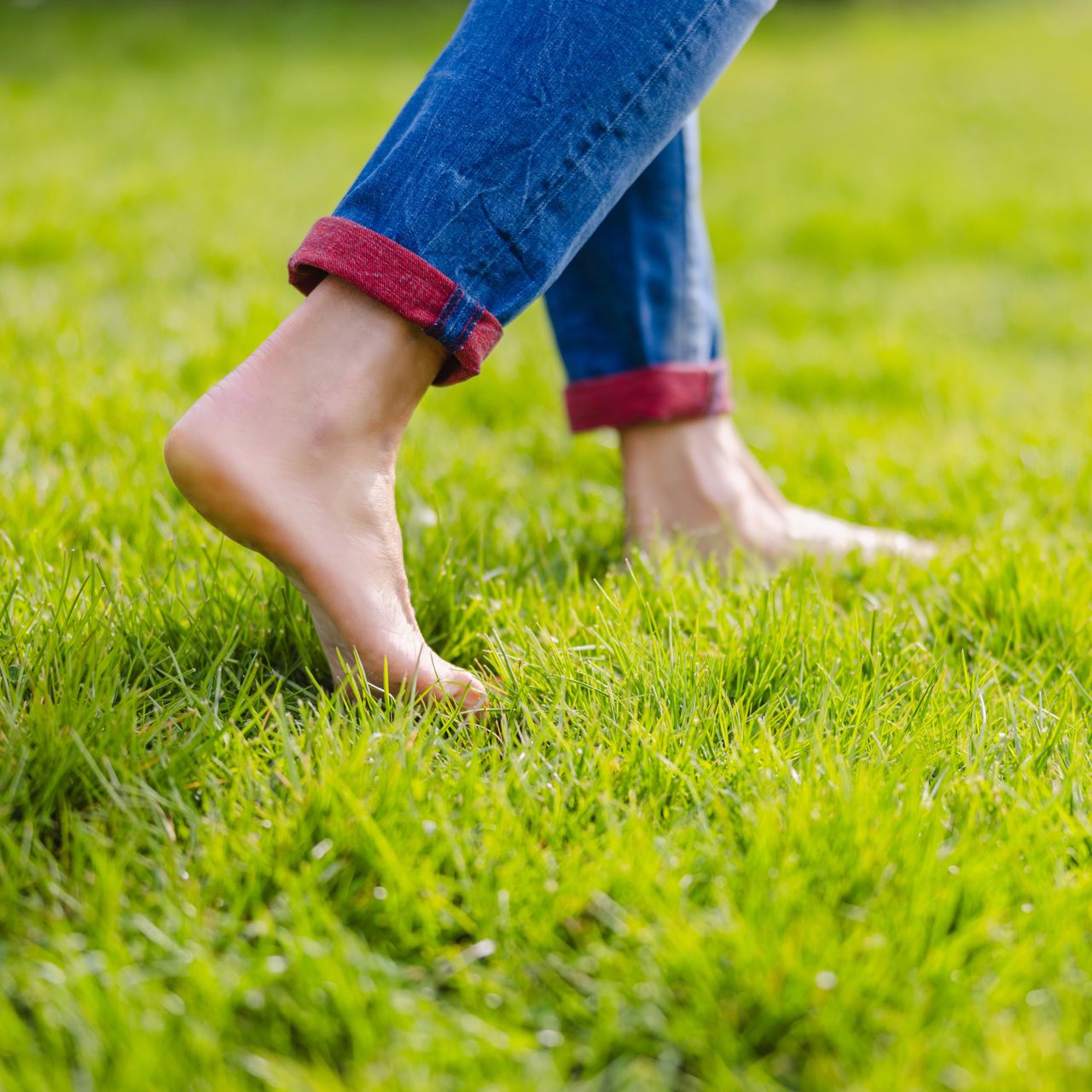 Lawn care 101: Everything you need to know to grow lush, vibrant grass
