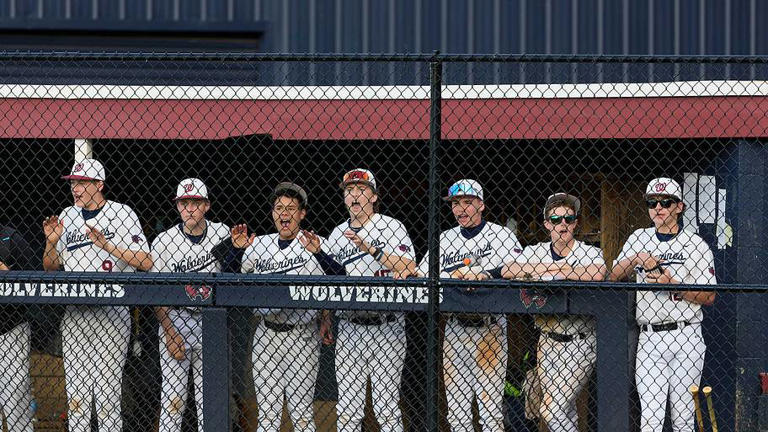 2026 Georgia high school baseball playoffs: State championship brackets ...