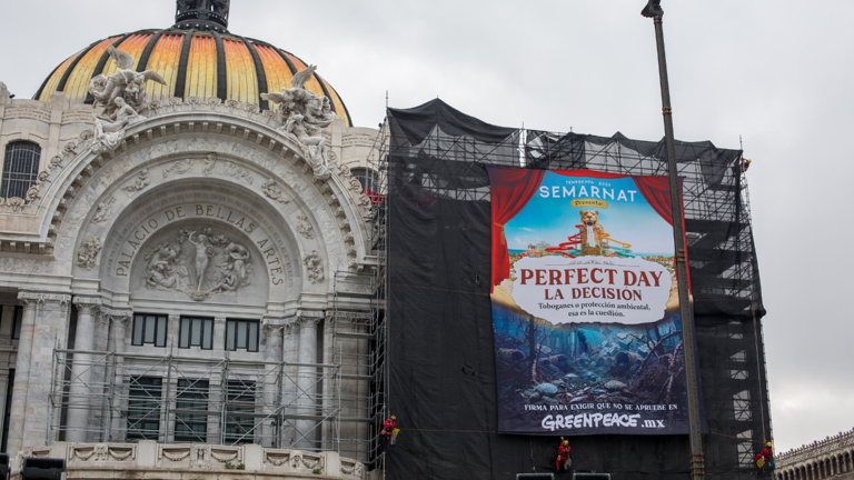 Perfect Day enfrenta veto ambiental de la Semarnat y castigo del mercado