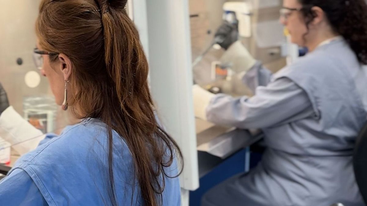 La UBA desarrolla una terapia para acortar el tratamiento contra la ...