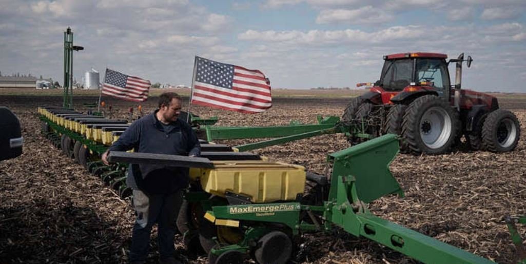 US farmers face record costs as wheat harvest set to plunge