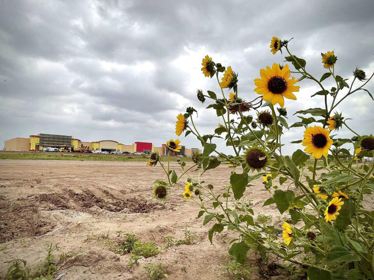 'Transformational' South Texas retail plaza takes shape