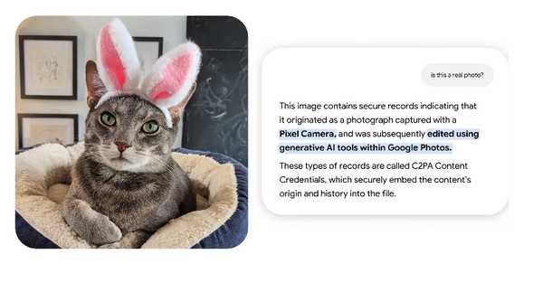 Buscador do Google, Chrome e ChatGPT passam a identificar imagens ...