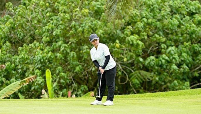 Harmie cards eagle-aided 66