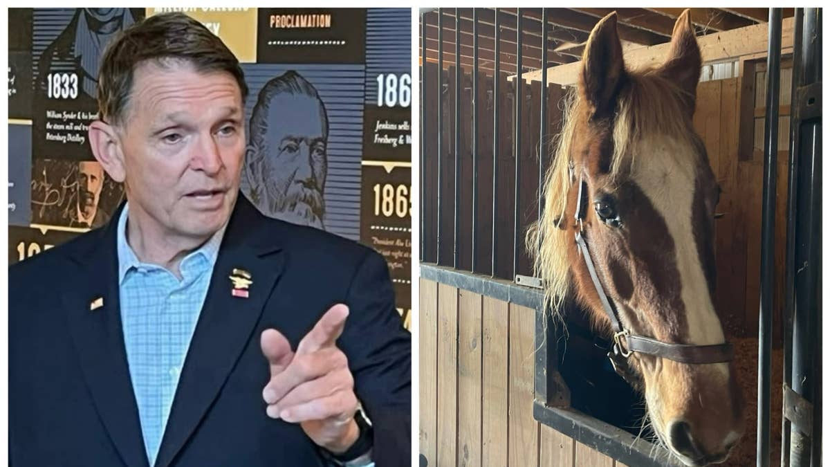 Google review alleged “rude” Ed Gallrein neglected horses and ignored vets