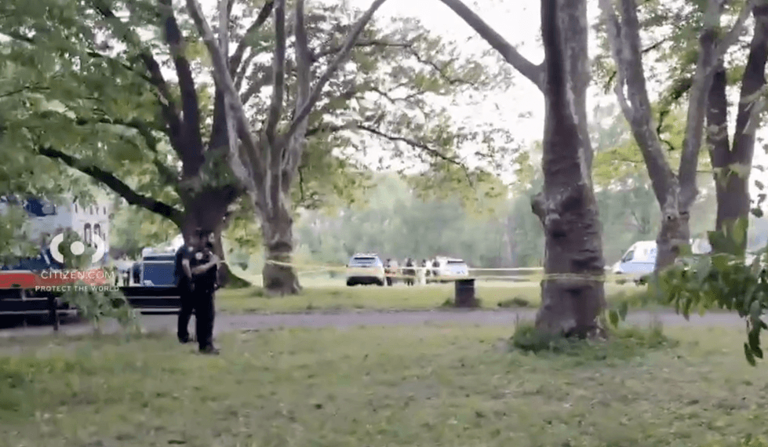 Man, 75, found fatally shot by lake at Queens park: police