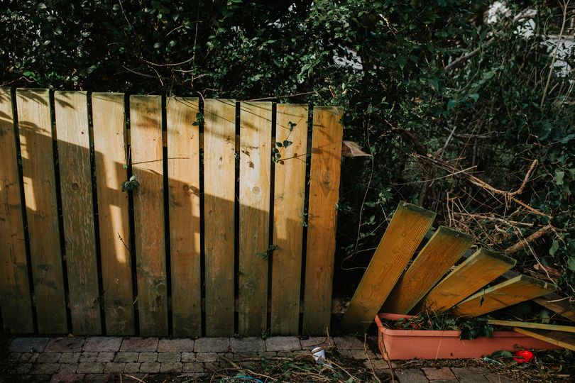 Your legal UK rights if neighbour's tree or hedge breaks your garden fence