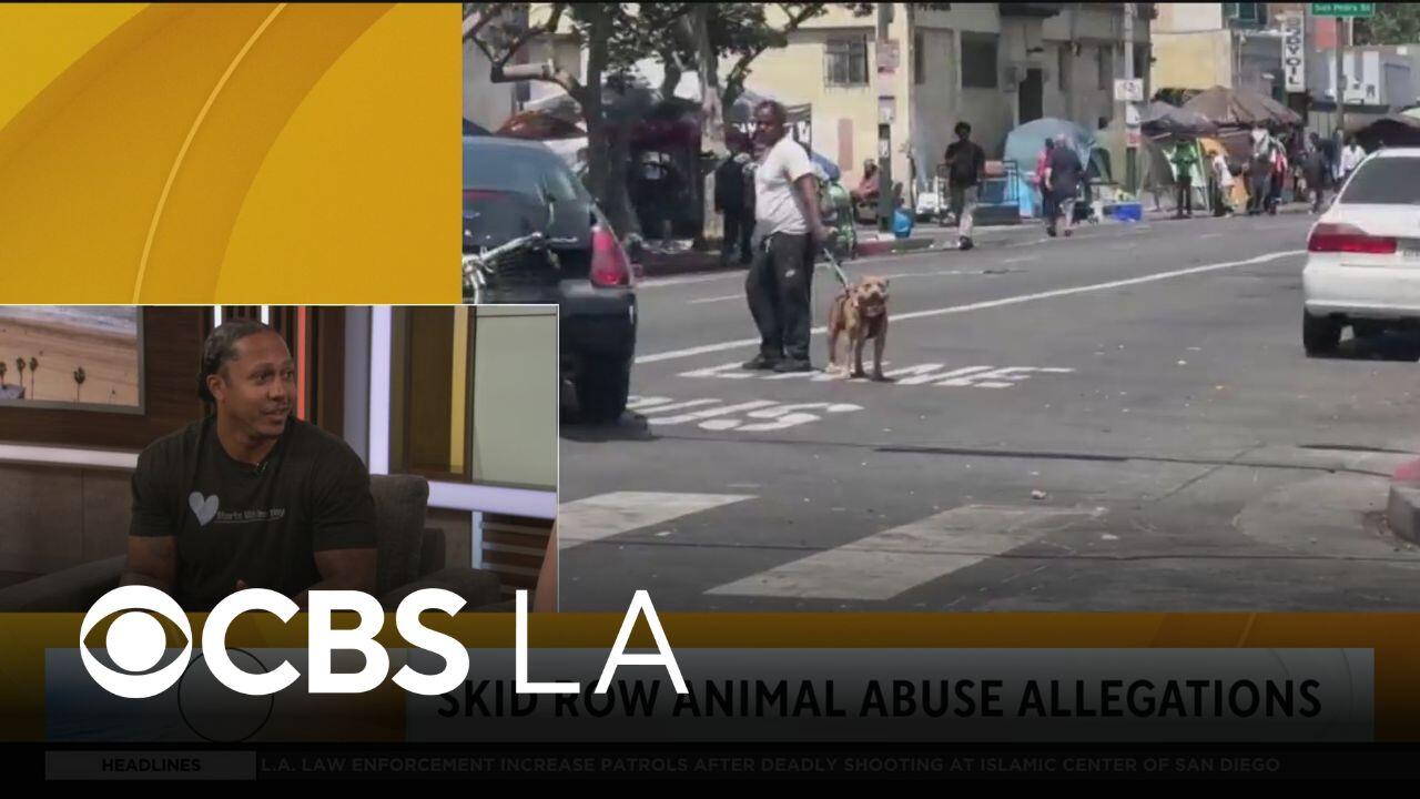 A local rescue group share the problem of animal abuse on Skid Row
