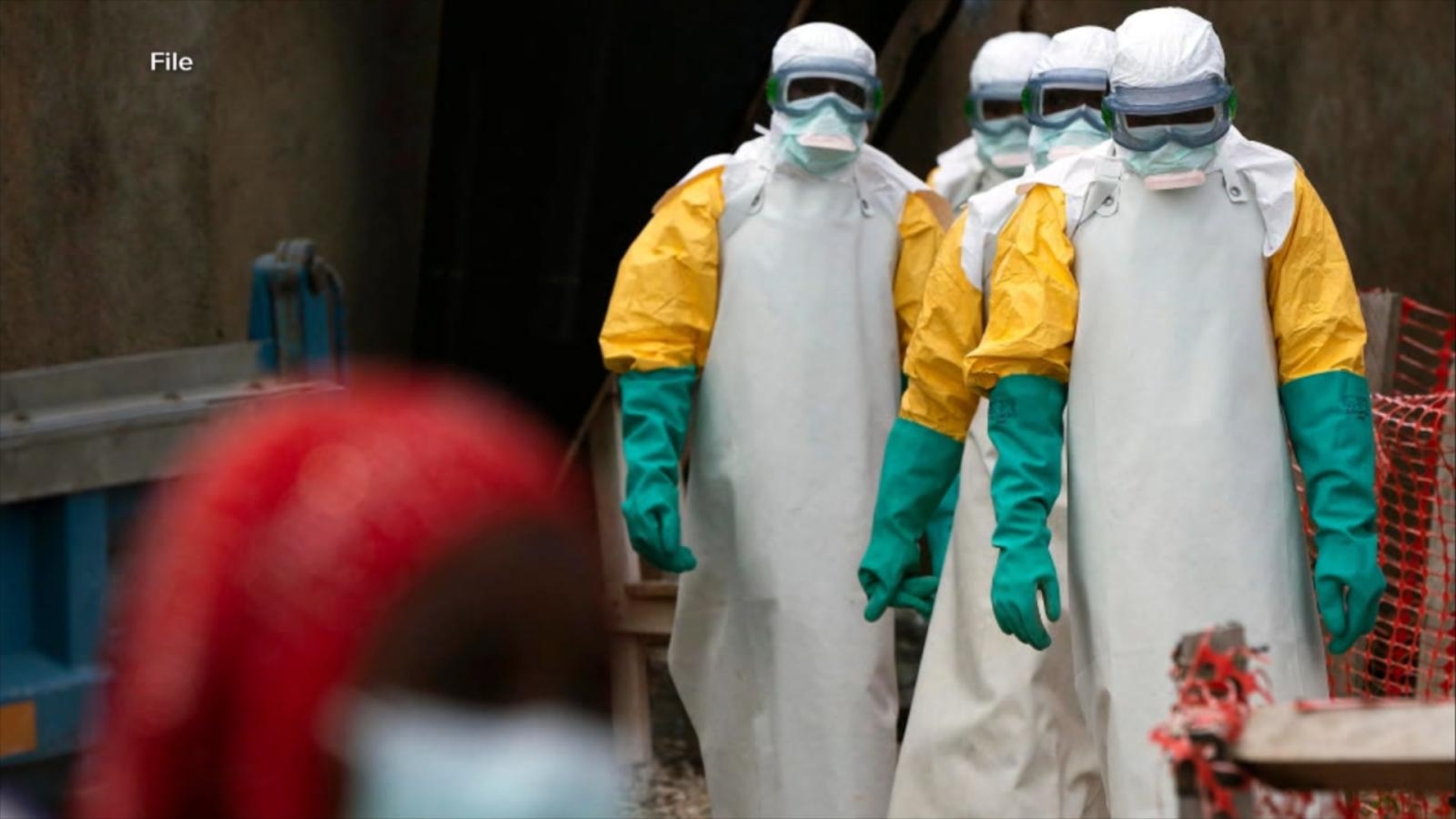 What does Ebola actually do, and how does it spread?