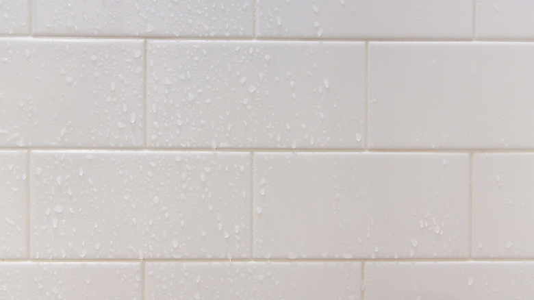 The worst shower tile options to avoid (and durable alternatives to try ...