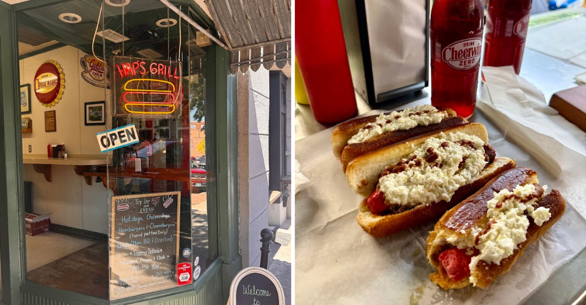 North Carolina still holds onto these 11 hot dog stands like they hold ...