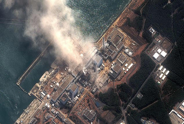 Mutant 'super pigs' develop alarming new abilities in nuclear fallout zone