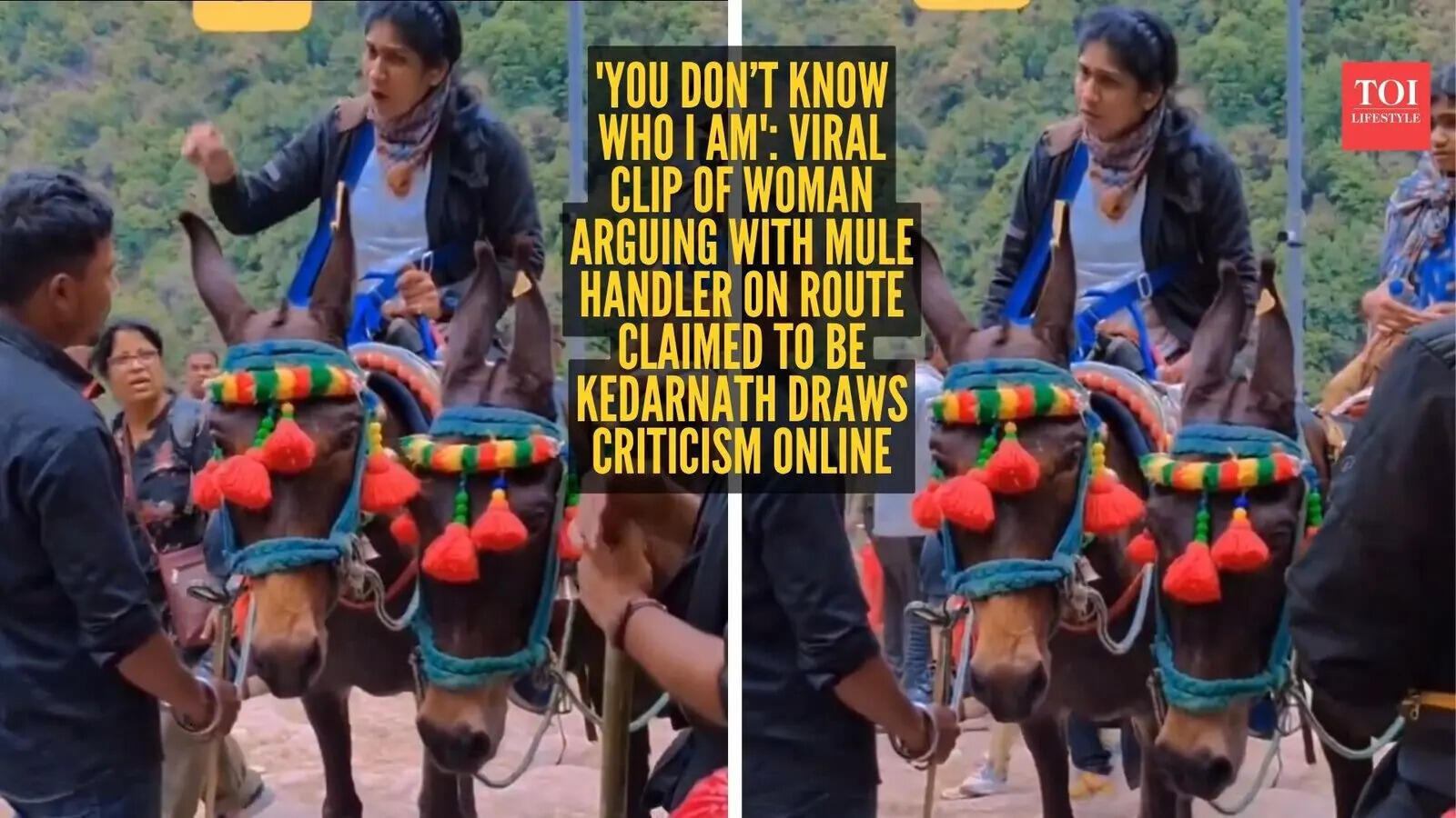 'You don’t know who I am': Viral clip of woman arguing with mule ...