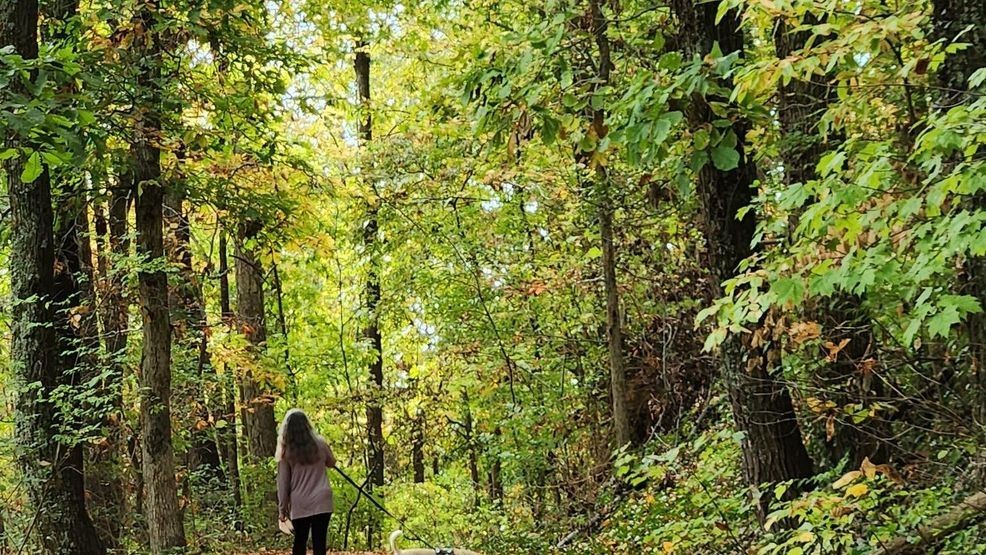 David Johnson tapped as head of Chattanooga's Department of Parks and ...