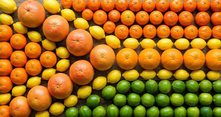 SA citrus sector delivers juicy economic boost, overtaking Spain as ...