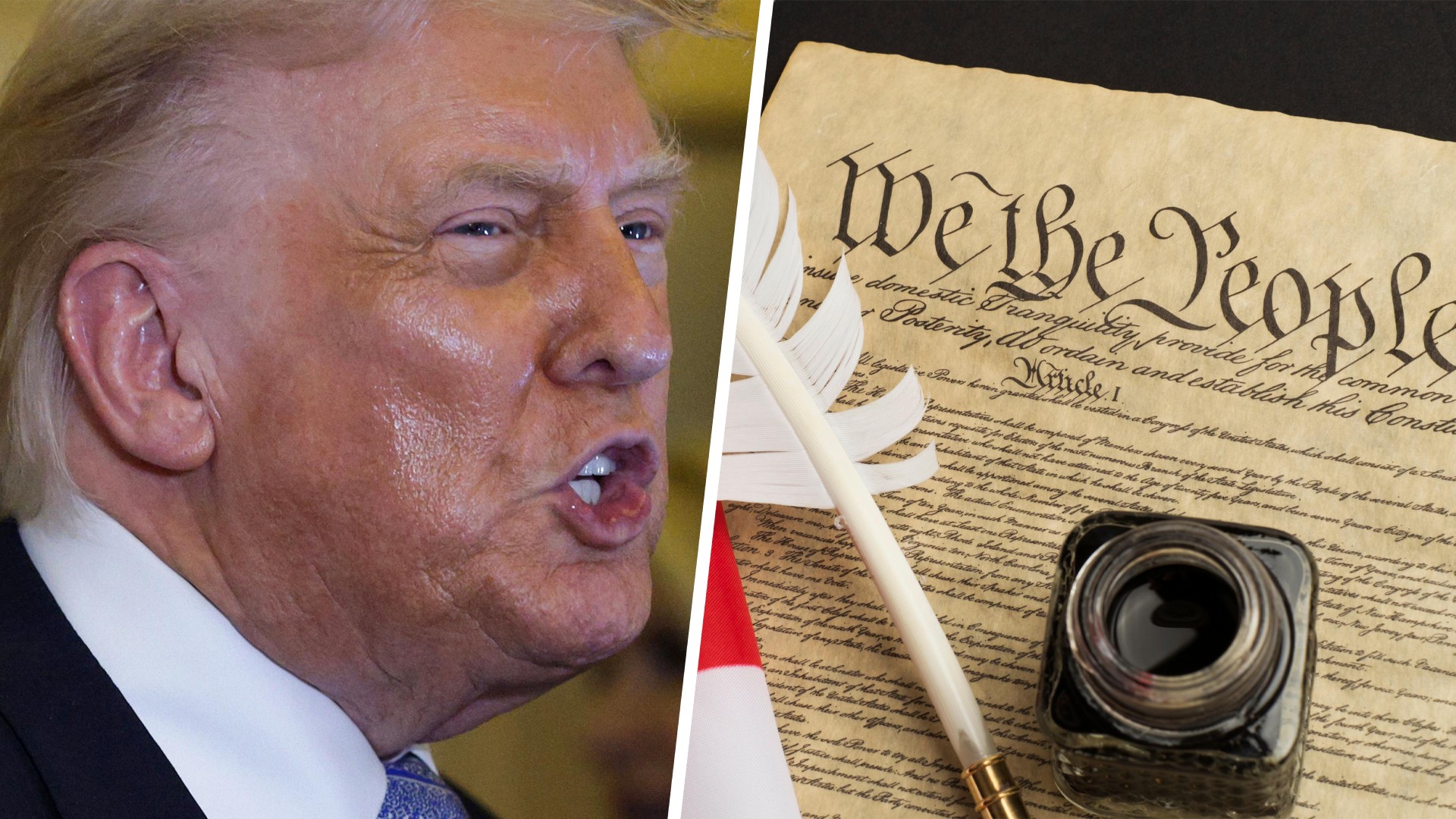 Fmr. Bush adviser: It's as if Trump is trying to 'destroy every element ...