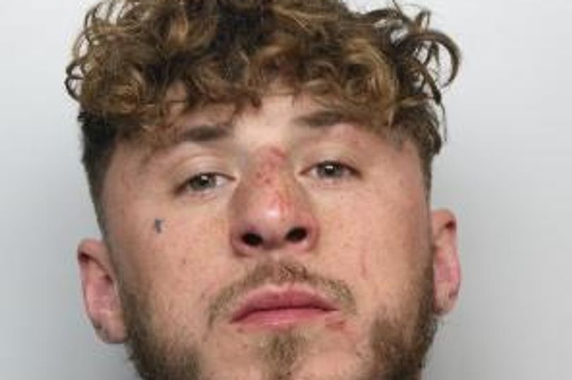 Driver cried 'sorry' after ramming police cars and leading officers on ...