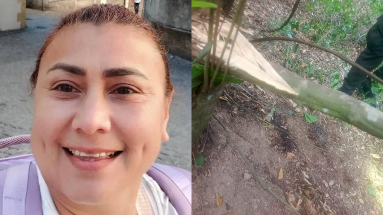 La ‘ventana de muerte’, la clave forense en el crimen de Yulixa Toloza ...