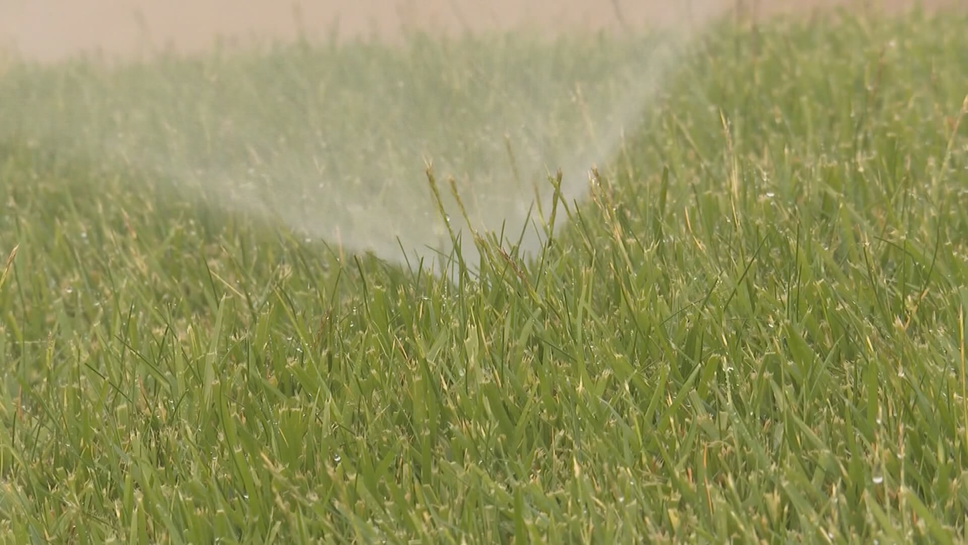 Water restrictions to go into effect immediately for town of ...