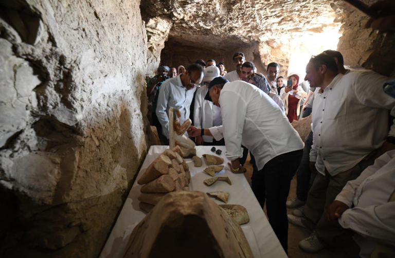 Over 30 mummified cats, ancient Egyptian tombs, coffins discovered at ...