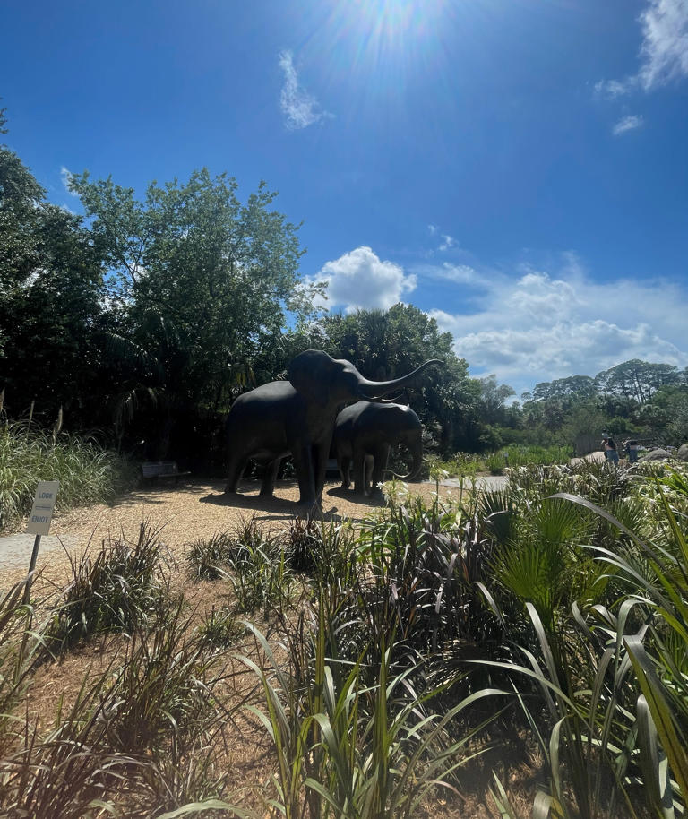 Michael Jackson’s elephant lives at a Florida zoo, so we visited him