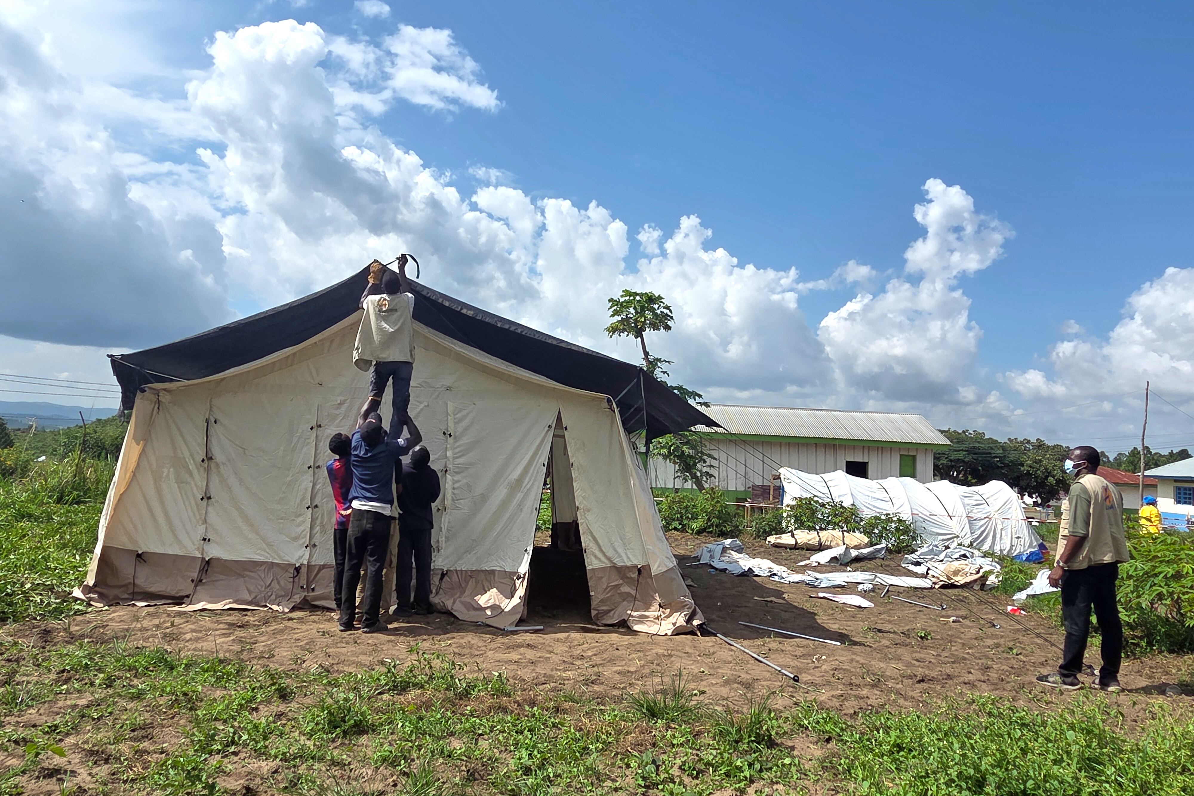 ASU pathogen expert says Ebola risk to Americans remains low despite ...