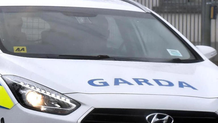 Cork woman refused bail after escape from Garda car, roared: 'I hope ...
