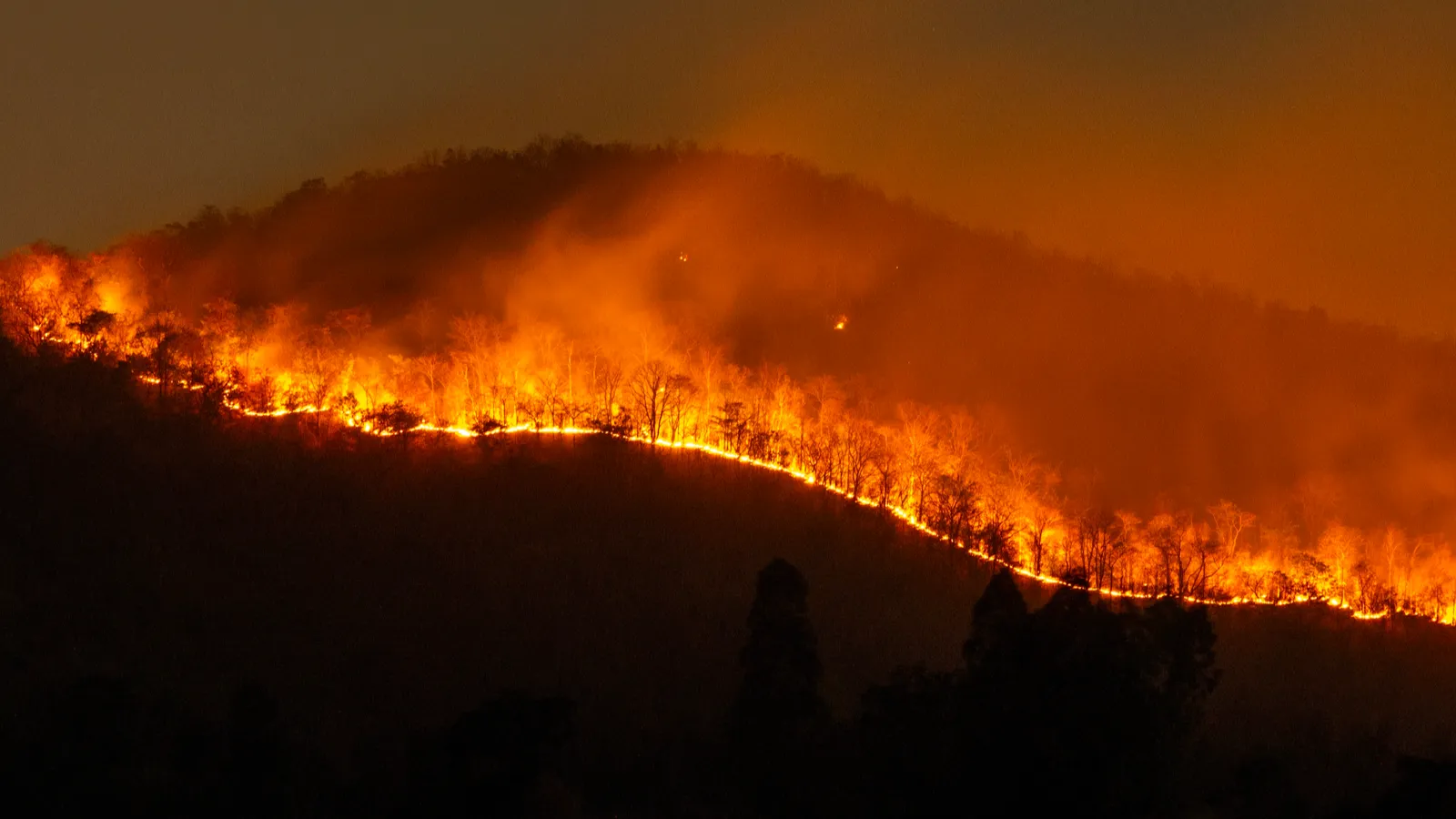 Montana wildfire outlook raises concern as state and federal agencies ...