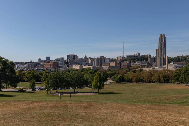Group wants Schenley Park roads reopened to traffic