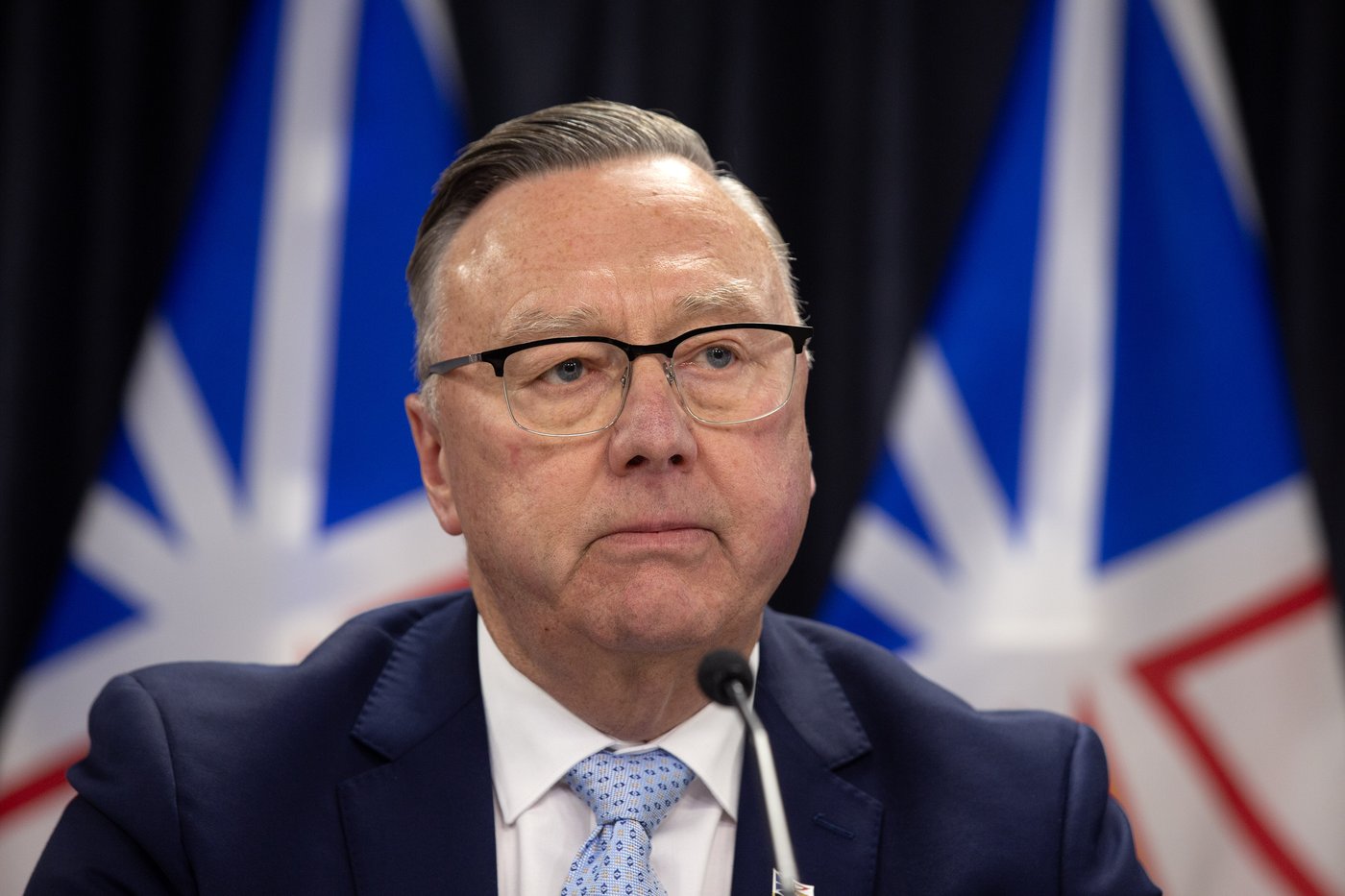 Panel concludes Quebec energy deal not in Newfoundland and Labrador's ...