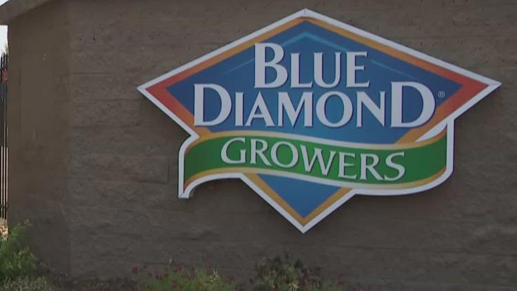 Sacramento's Blue Diamond site set for major redevelopment with 1,000 ...