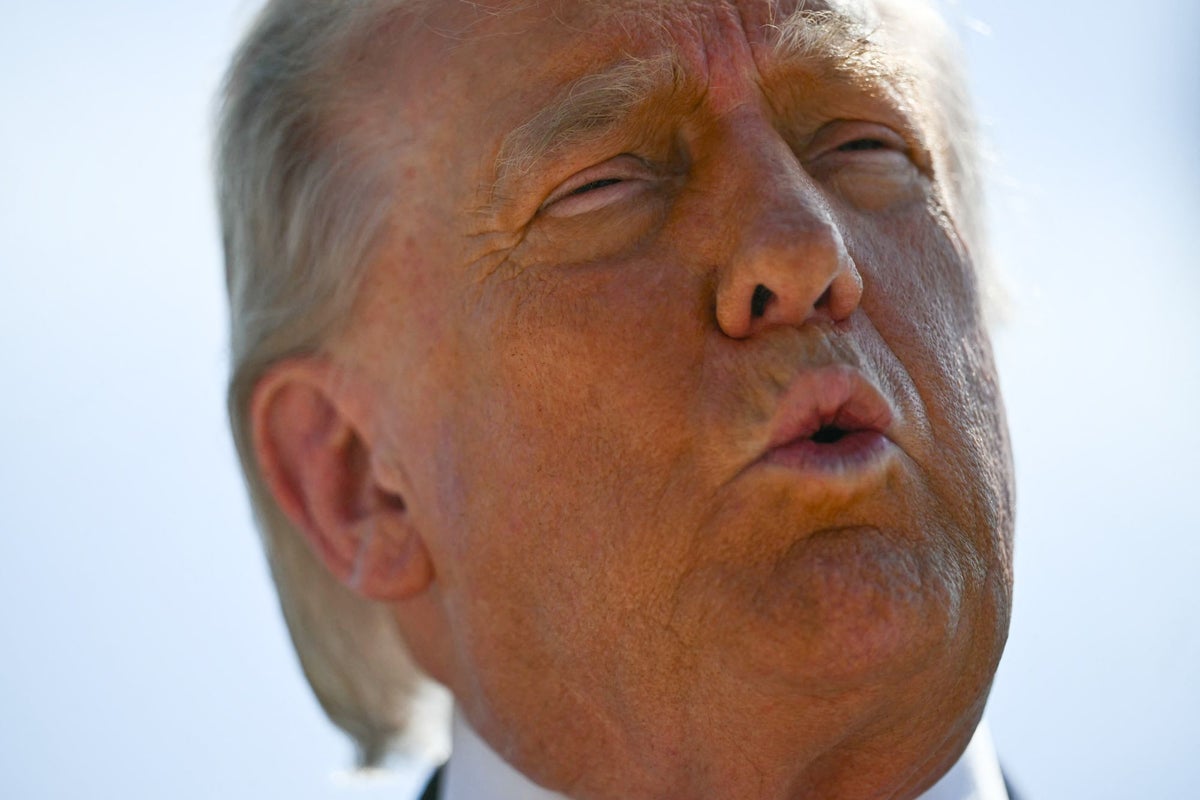 Trump’s IRS drops investigations into president, family and companies