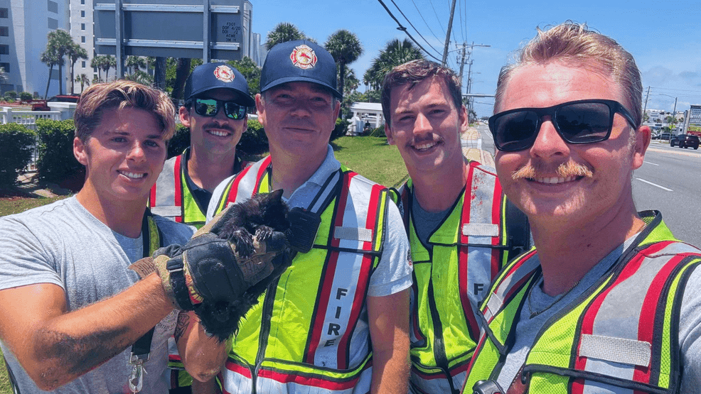 Kitten rescued from Destin storm drain, adopted by fire rescue captain