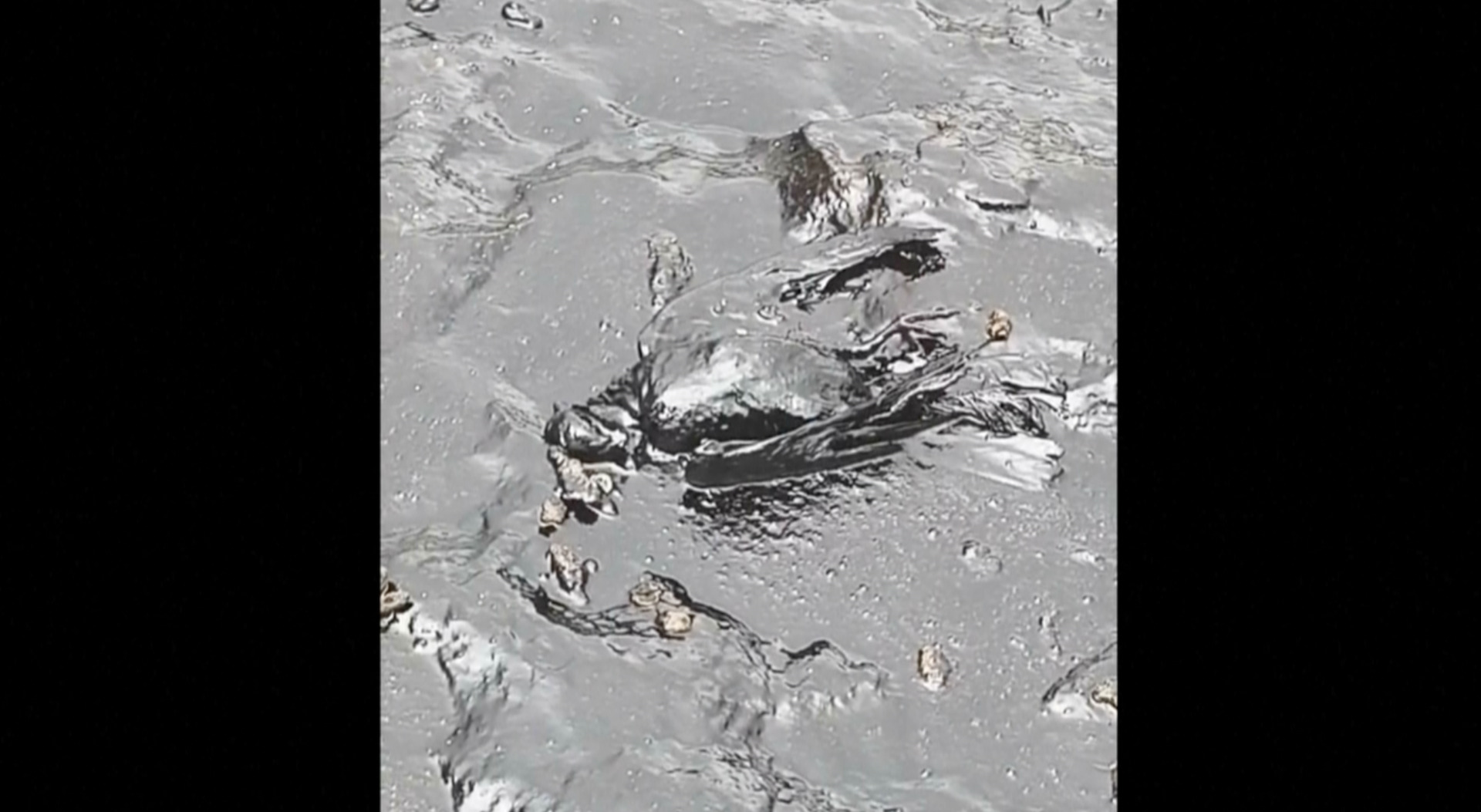 Video shows oil spill on Iranian island after refinery attack last month