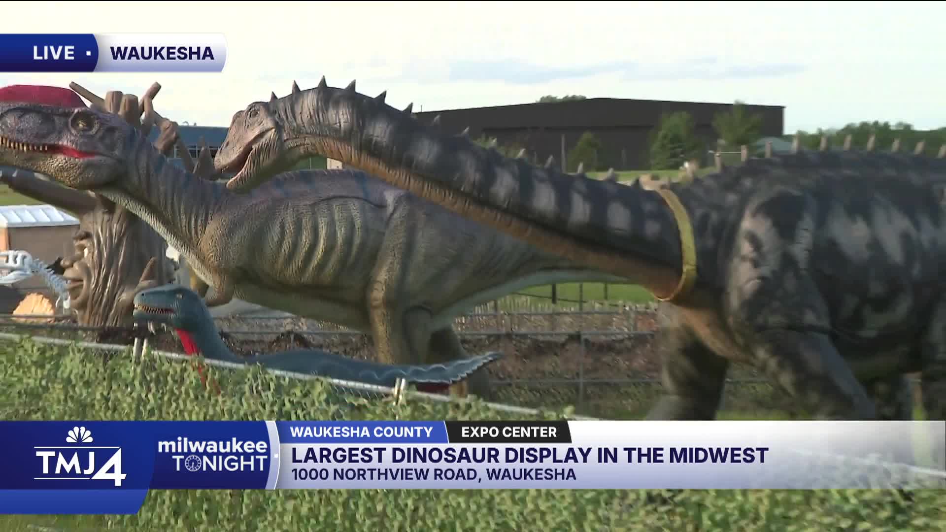 Largest dinosaur display in the Midwest is in Waukesha