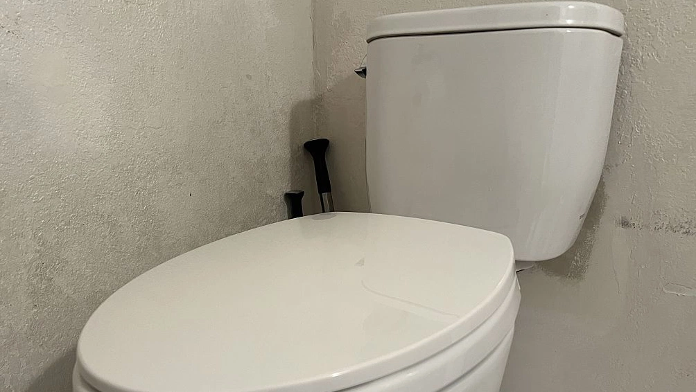 Ice cube toilet cleaning hack gains traction despite expert doubts