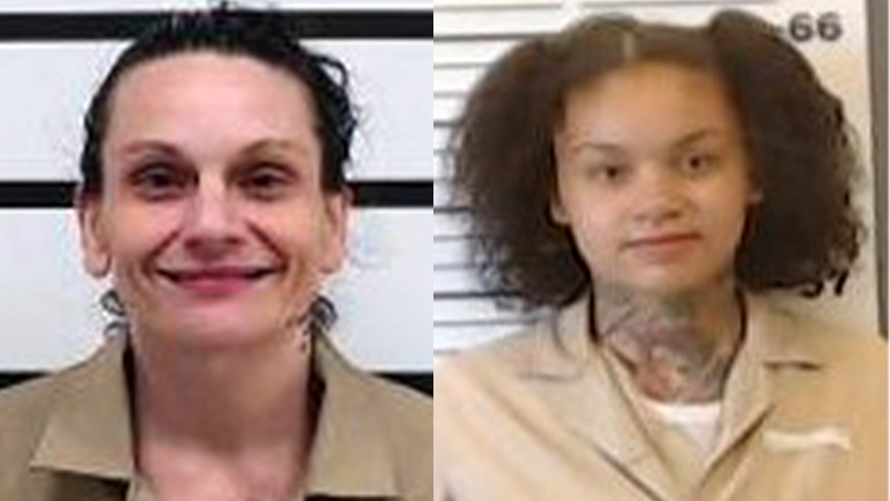 Investigation underway after 2 inmates die within days at Georgia women ...