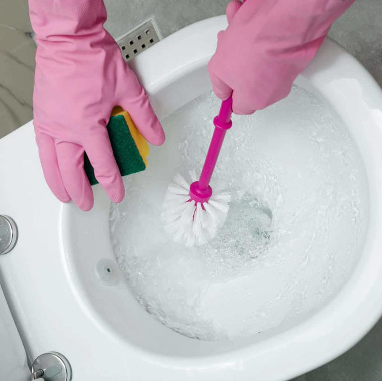 Spraying vinegar around the toilet: Why experts recommend it and what ...