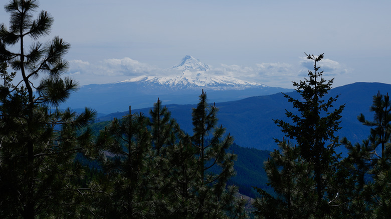 Washington's scenic state park near the Oregon border has camping ...