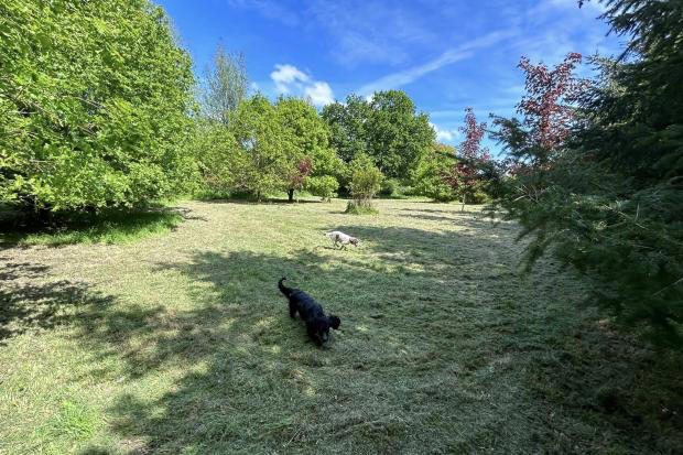 Shady Glades Dog Park hope to finally open after latest appeal