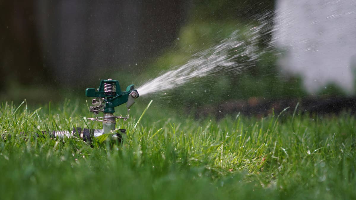 Why frequent watering might be weakening your lawn's grass roots